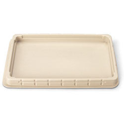 Dissection Pan – Home Educational Resources