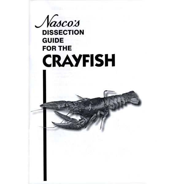 Crayfish Dissection Guide – Home Educational Resources