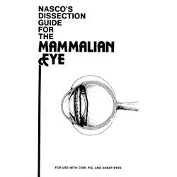 Mammal Eye Dissection Guide – Home Educational Resources