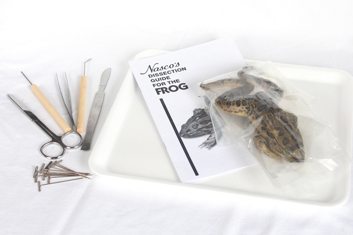 Frog Dissection Lab Kit – Home Educational Resources