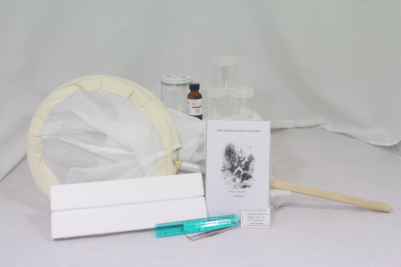 Insect Collecting Kit – Home Educational Resources